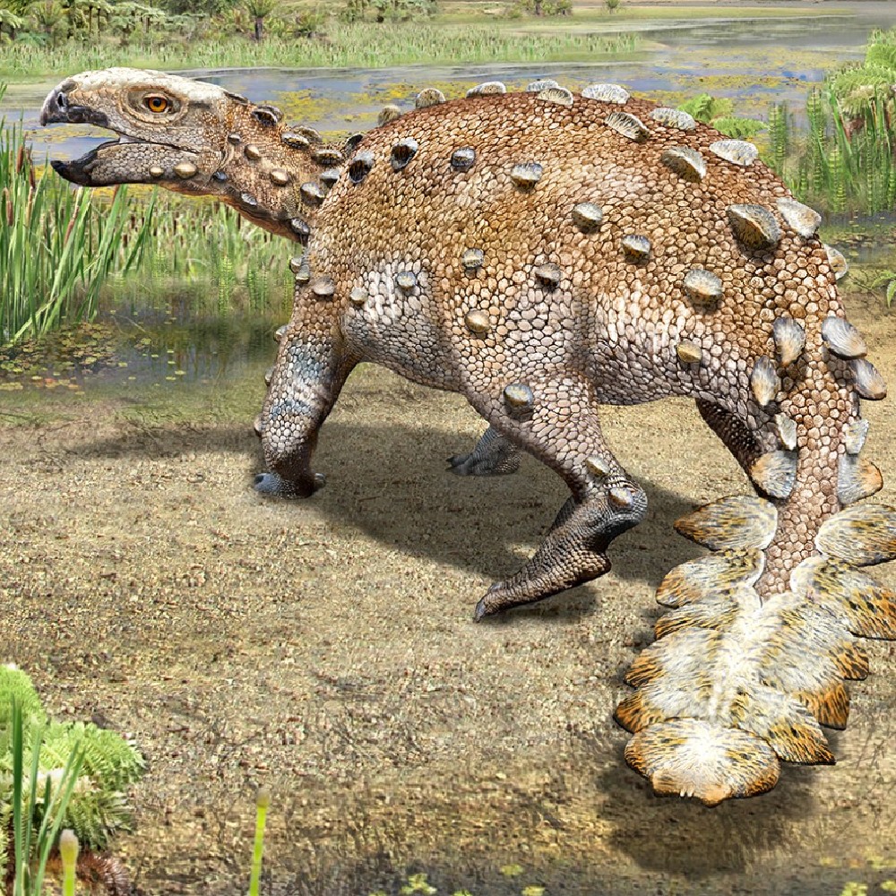 Tagua Tagua: Los secretos de una laguna legendaria - Universidad de O ...