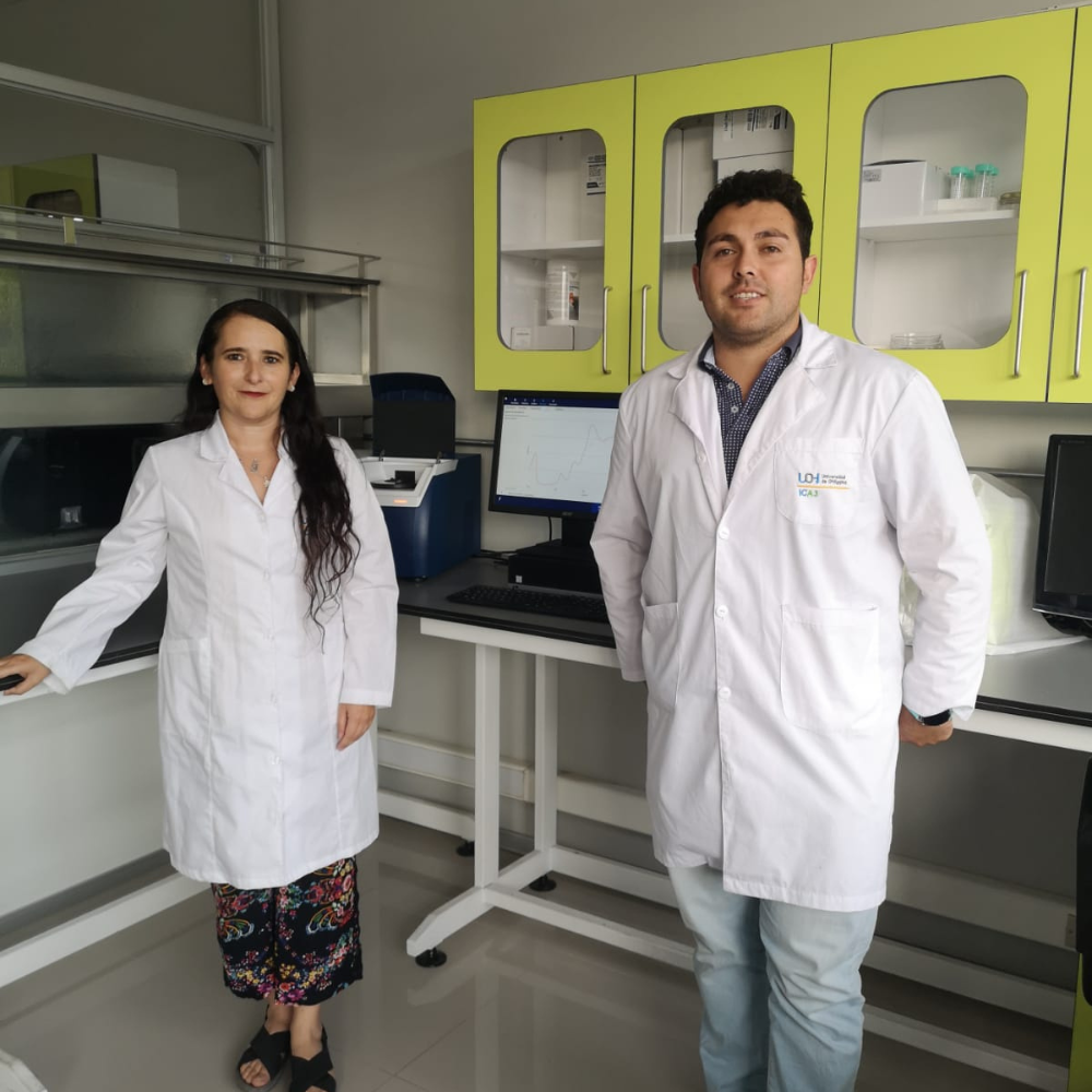 Proyecto FIC-UOH: Pequeños y medianos productores de huevos de O ...