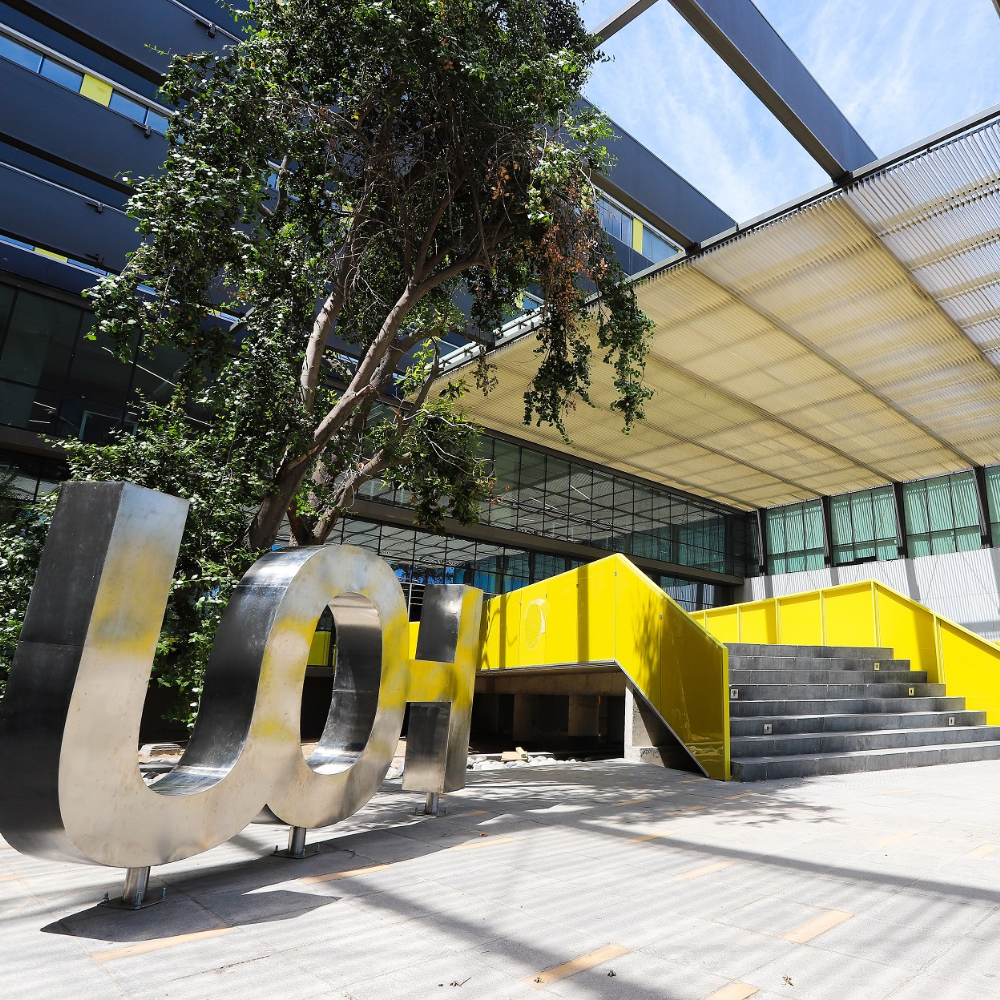 Ciencias de la Salud: UOH presenta su segundo programa de Doctorado ...