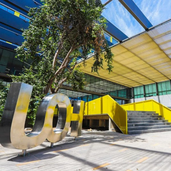 Representantes de Escuela de Salud UOH participaron en reunión de la ...
